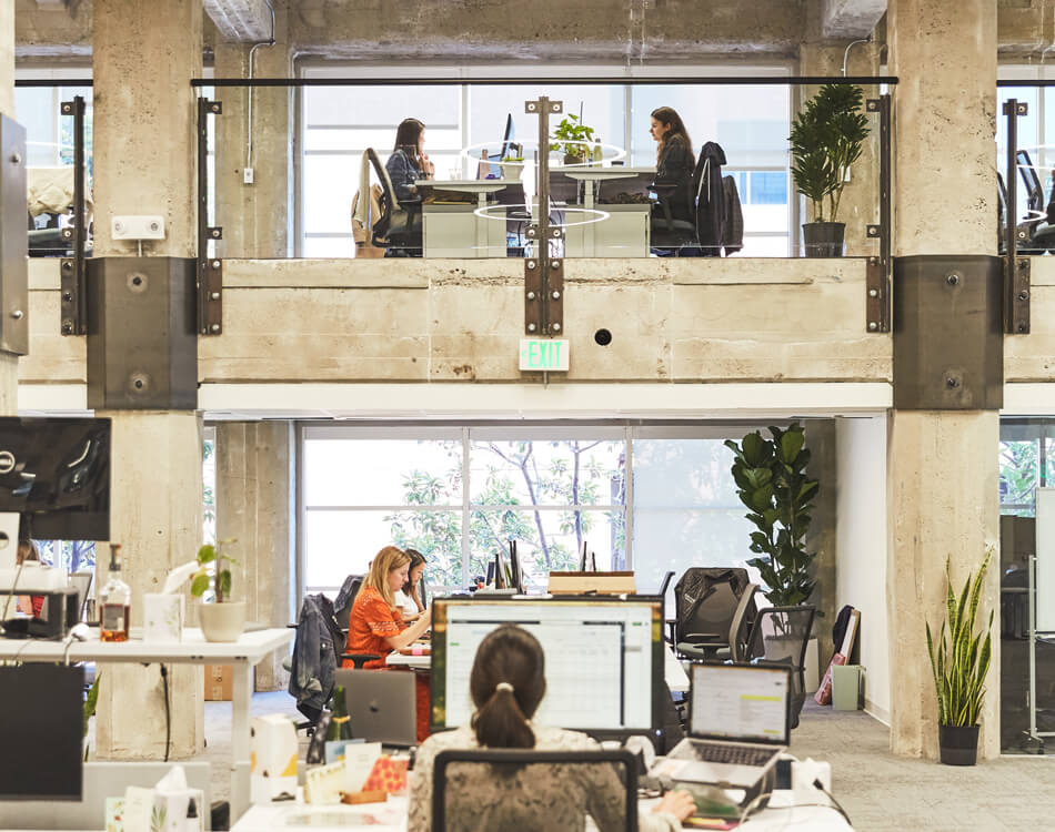 Grove Collaborative, Inc. (GROV)