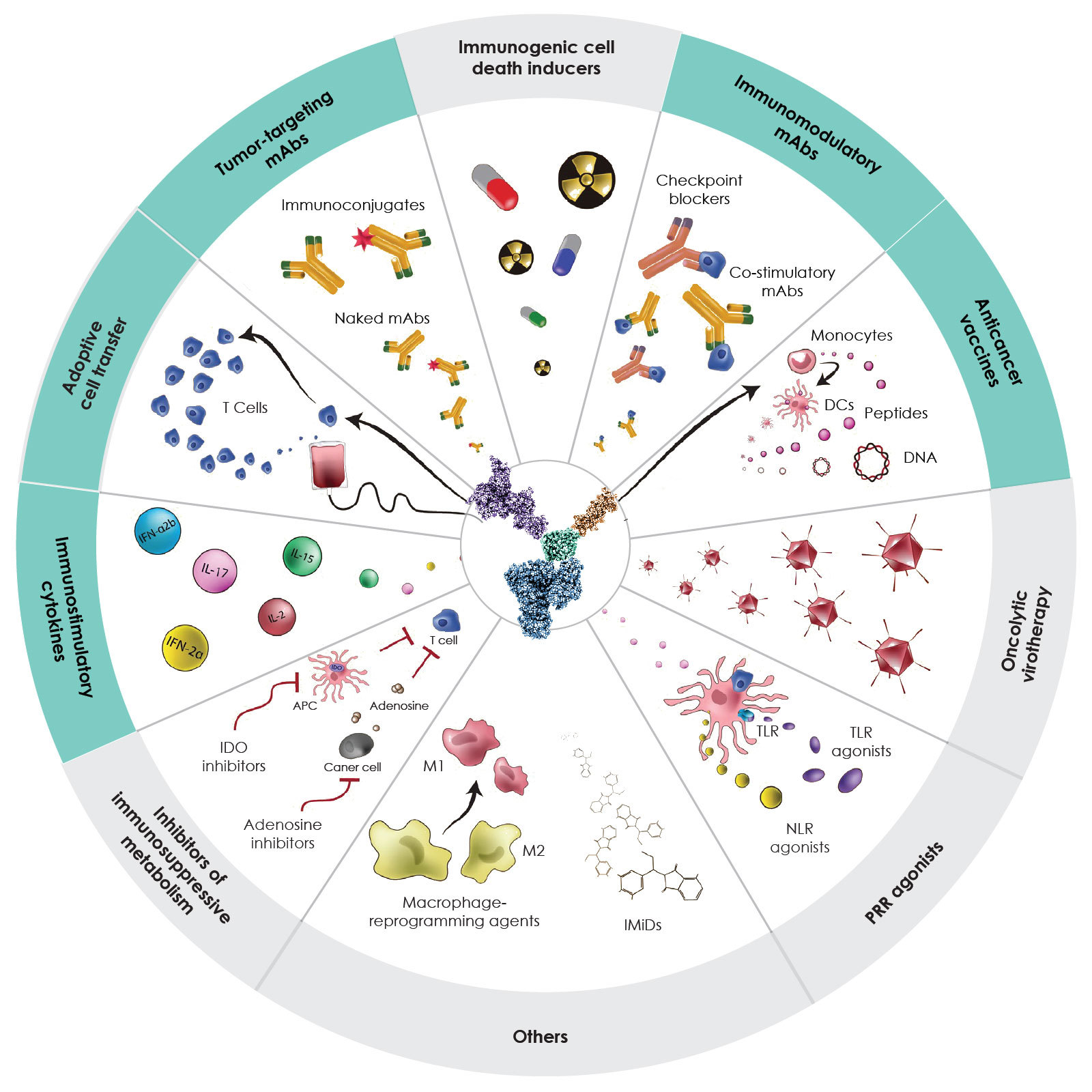 Sonnet BioTherapeutics, Inc. (SONN)