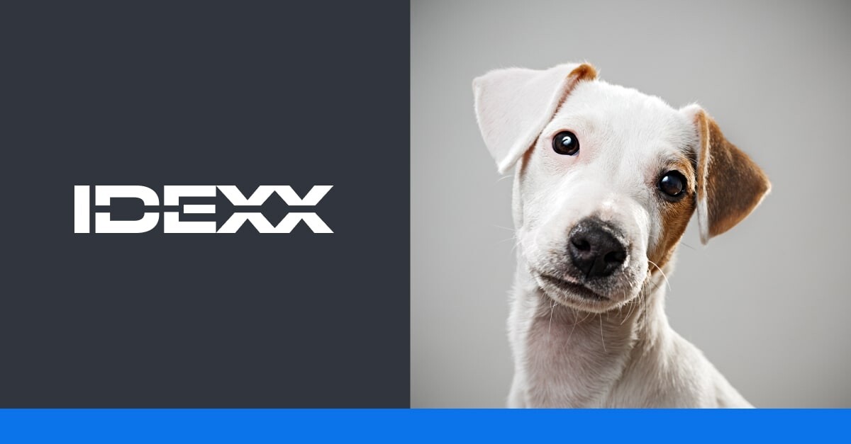 IDEXX Laboratories to Release 2025 Fourth Quarter and Full Year Financial Results :: IDEXX ...