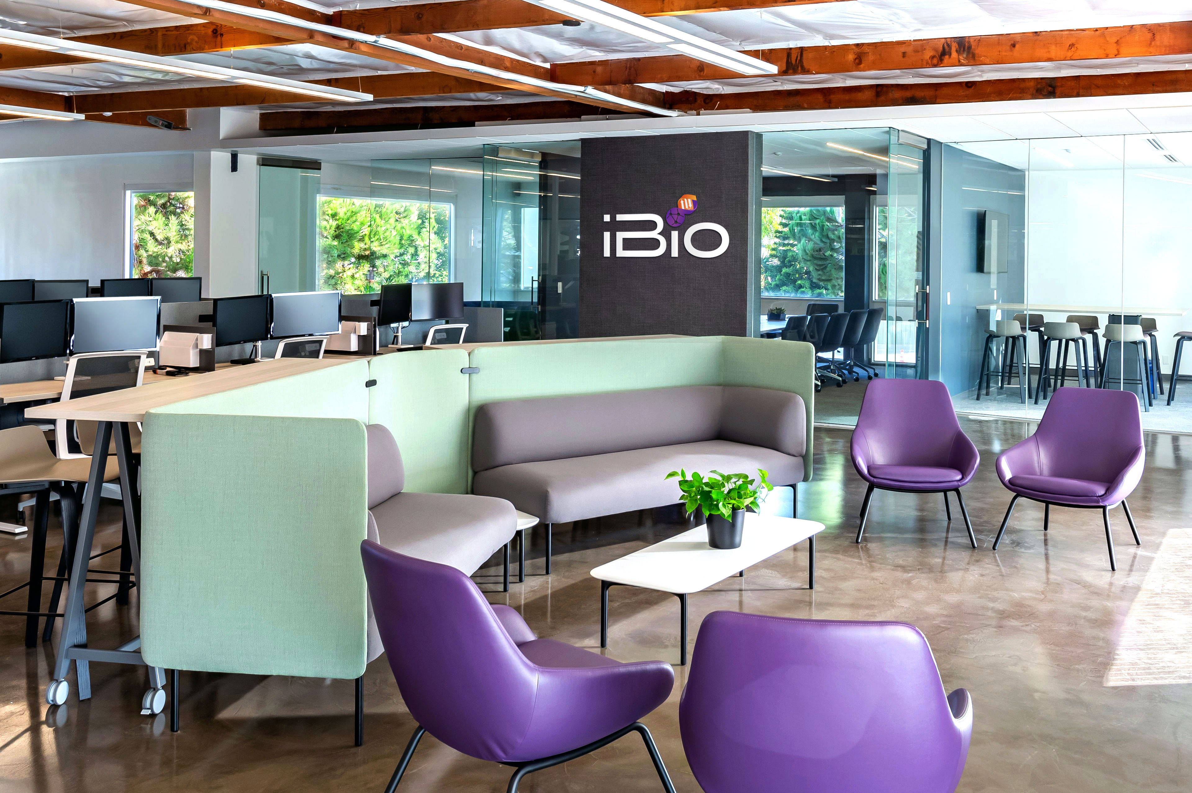 Investor Relations :: iBio Inc. (IBIO)
