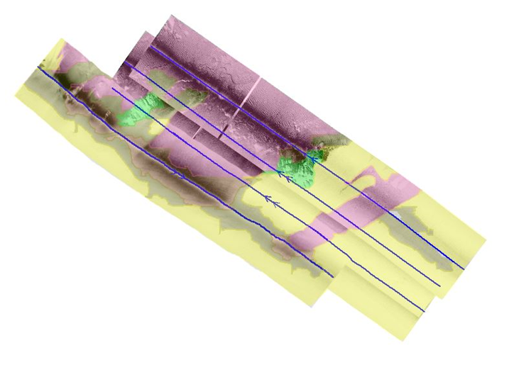Coda Octopus Products Ltd