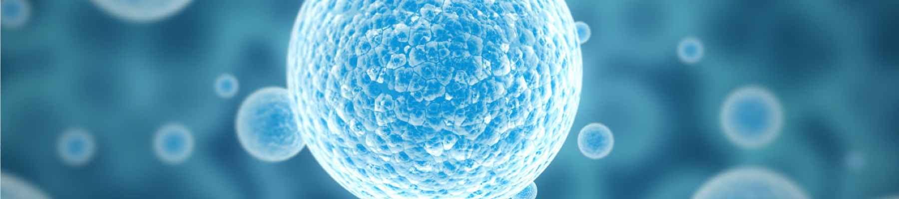 Clinical Studies :: Cellectar Biosciences, Inc. (CLRB)