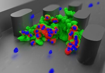 Draper Advances Immuno-Oncology with Microfluidic Model of Dynamics of ...