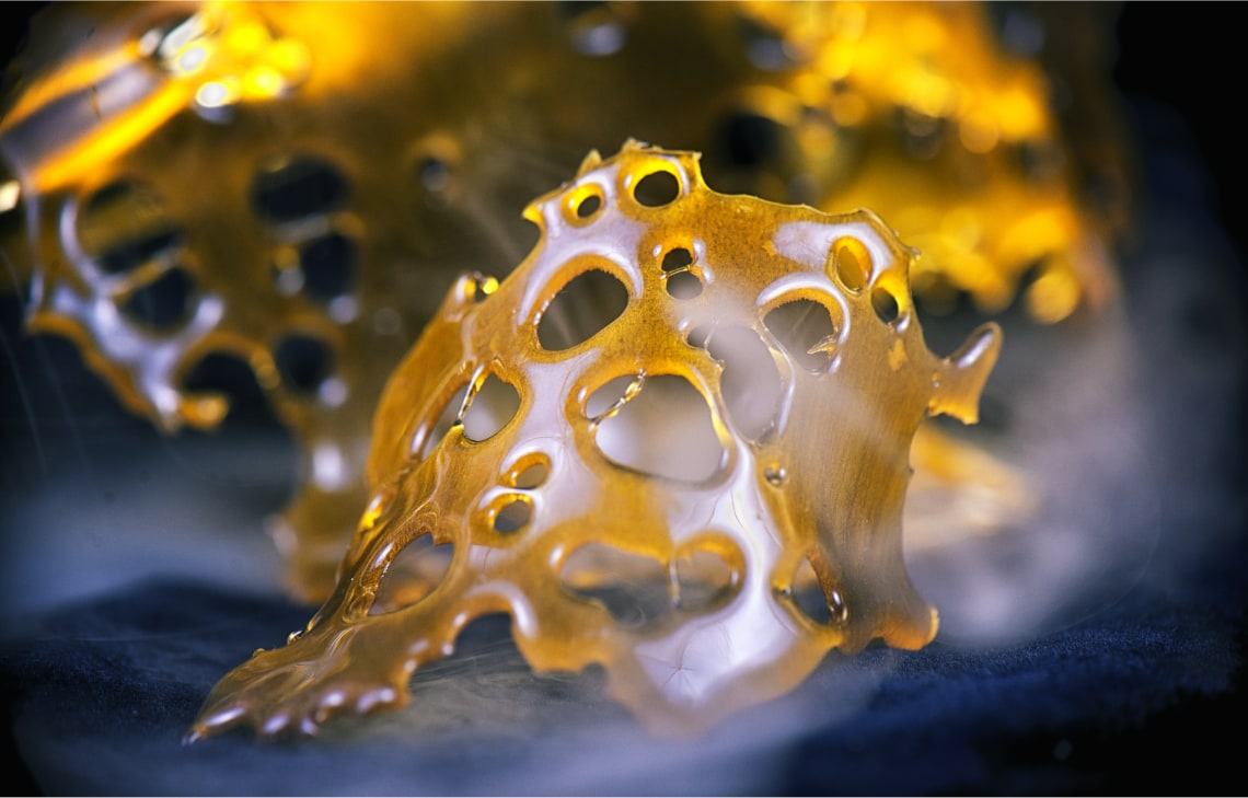 TerrAscend Corp. (TSND)