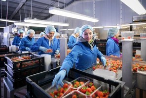 Huntsman Corporation Enriching Lives Through Innovation :: Huntsman ...