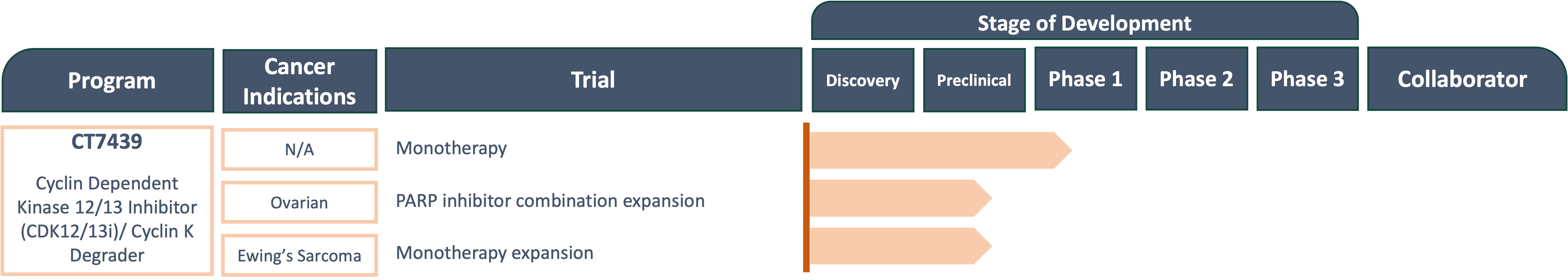 CDK12/13 Inhibitor :: Carrick Therapeutics, Inc.