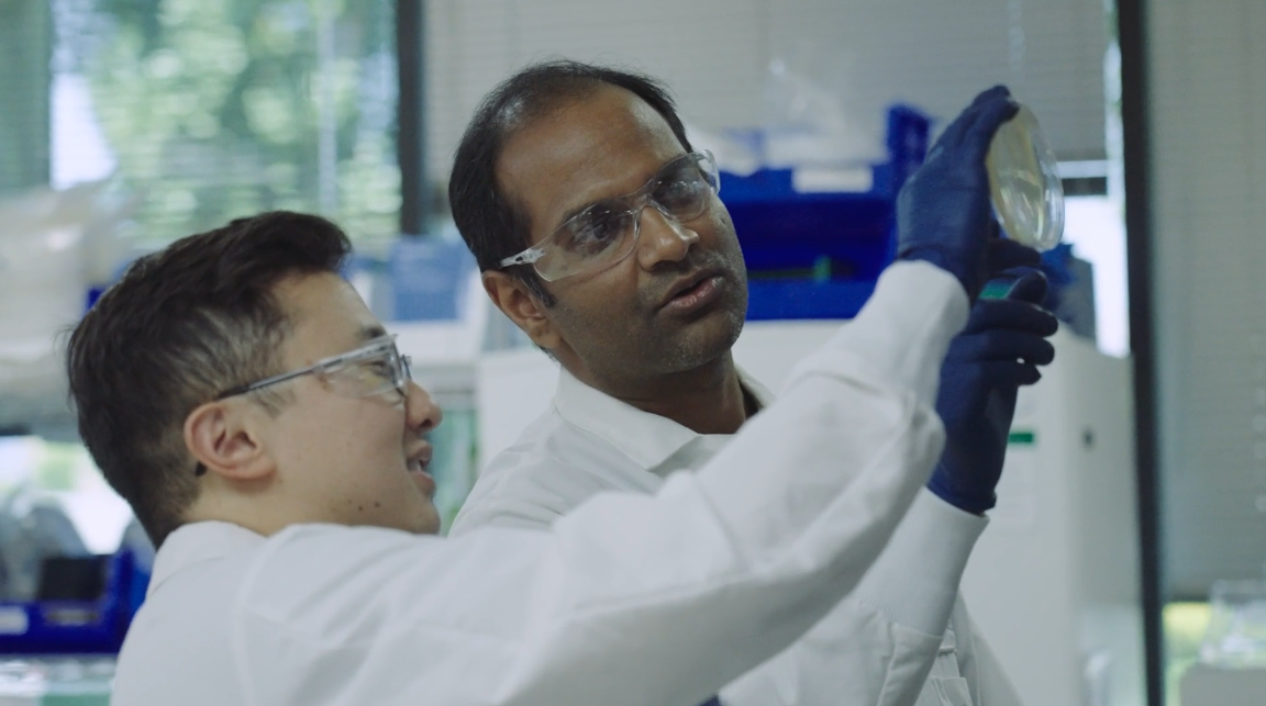 Codexis | Reimagine enzymes for biosolutions :: Codexis, Inc. (CDXS)