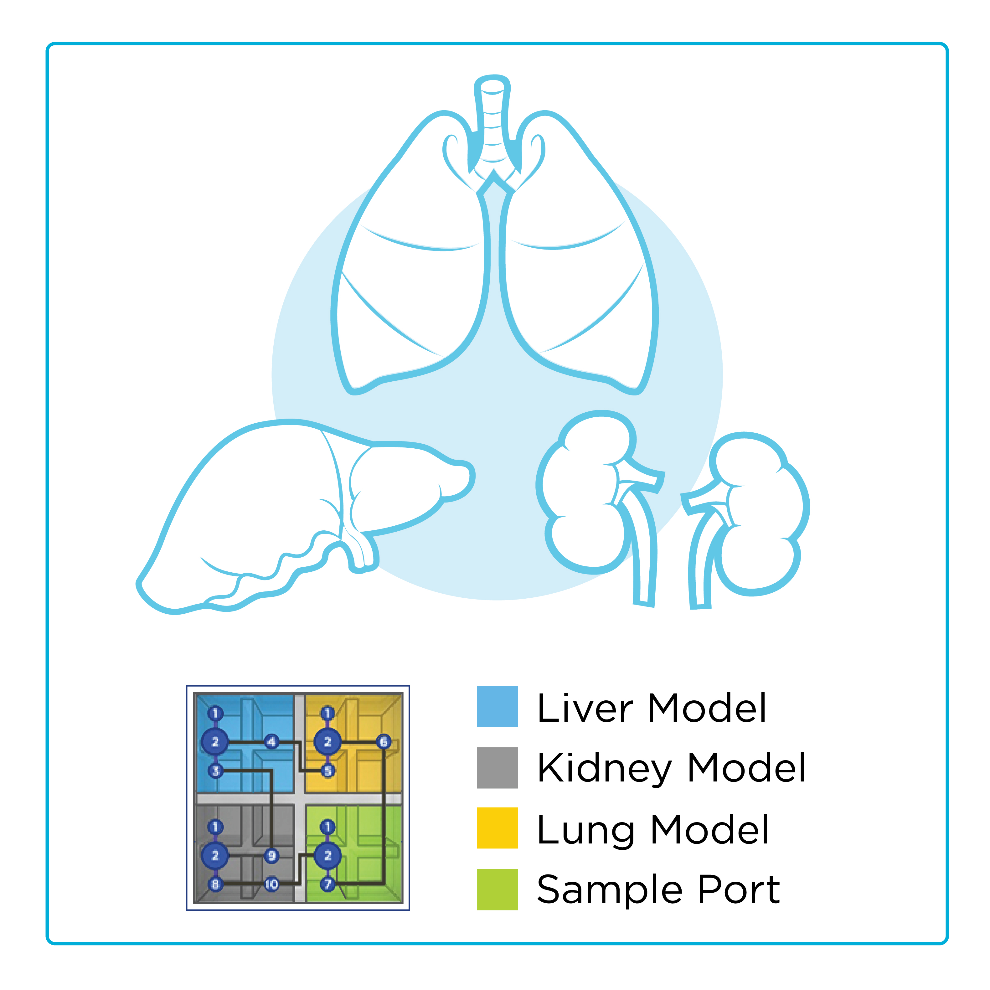 Draper to Develop an Advanced, Multi-Organ, Microphysiological System Architecture :: Draper