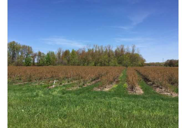 Farmland Portfolio :: Gladstone Land Corporation (LAND)