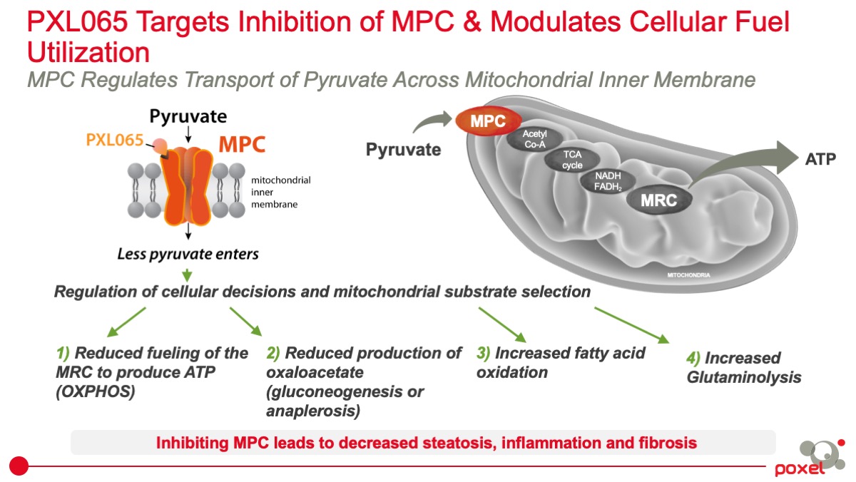 Scientific Approach | Poxel SA